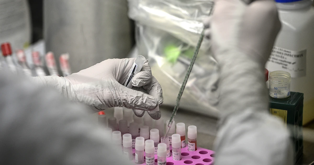 دراسة: جهاز المناعة بدأ التطور لمواجهة الأمراض منذ 4500 عام | الشرق للأخبار