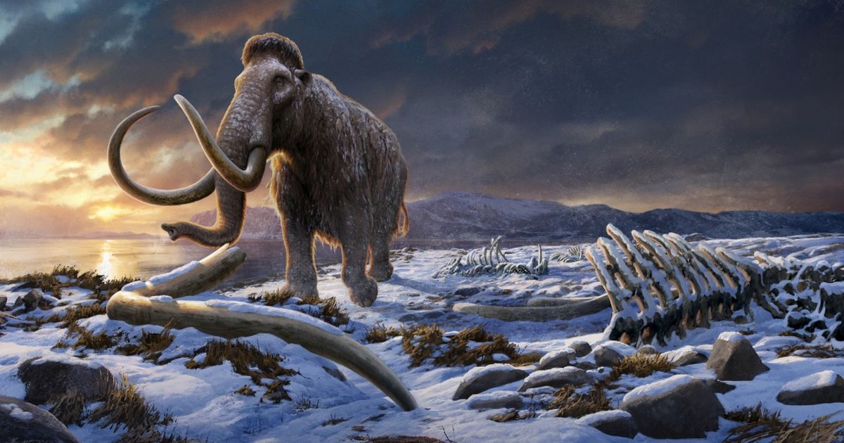 زواج الأقارب وراء انقراض الماموث.. دراسة تكشف الحقيقة | الشرق للأخبار